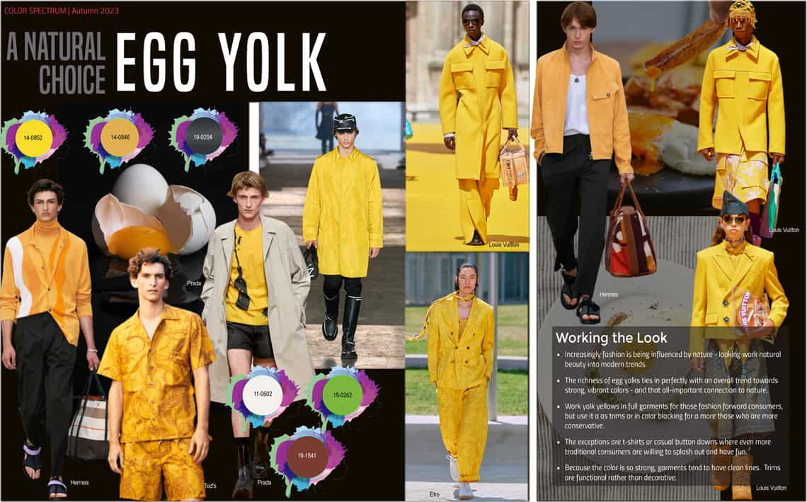 Egg Yolk – Inside Fashion Live!
